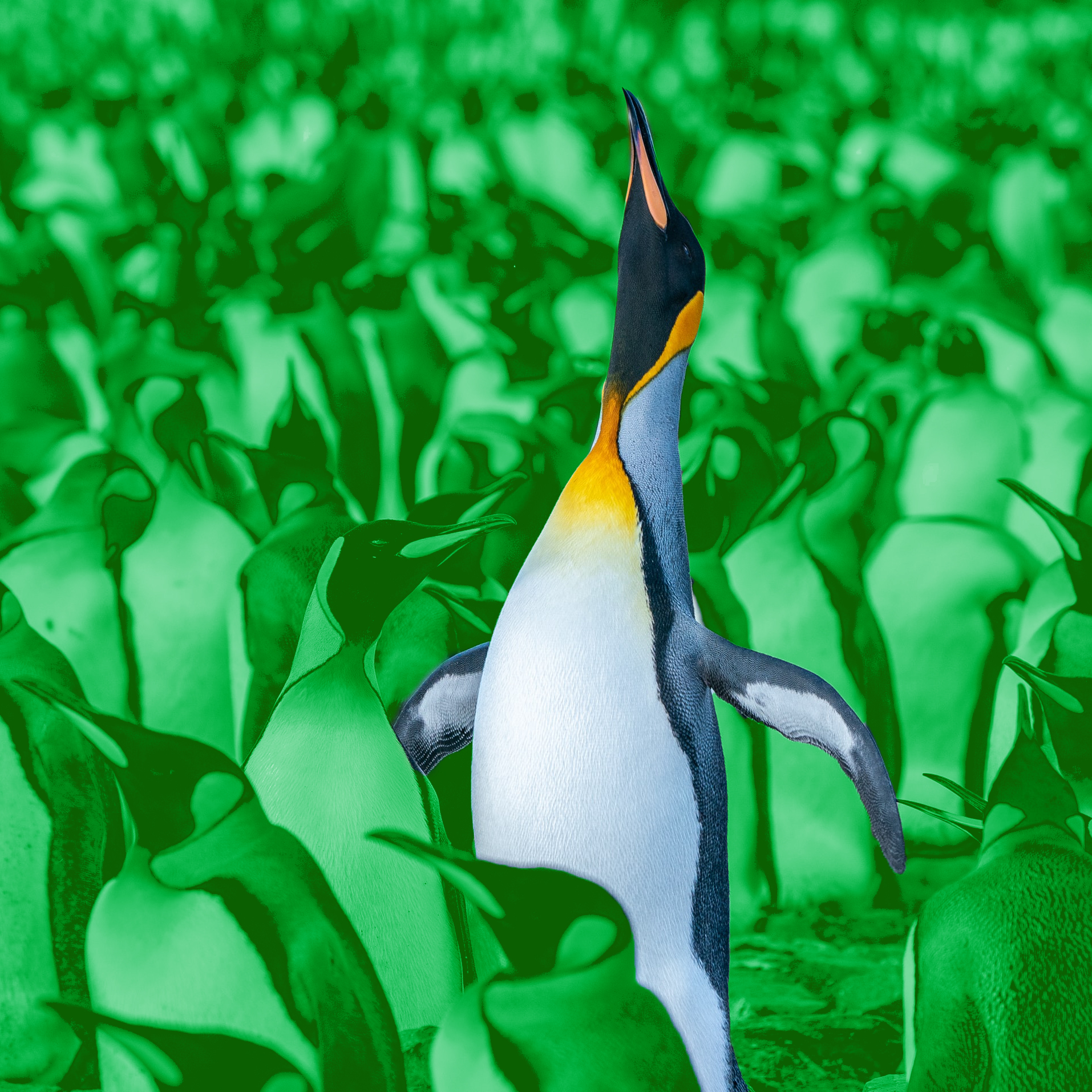 The Importance of a Positioning Statement for Your Businesses - InsideOut Group