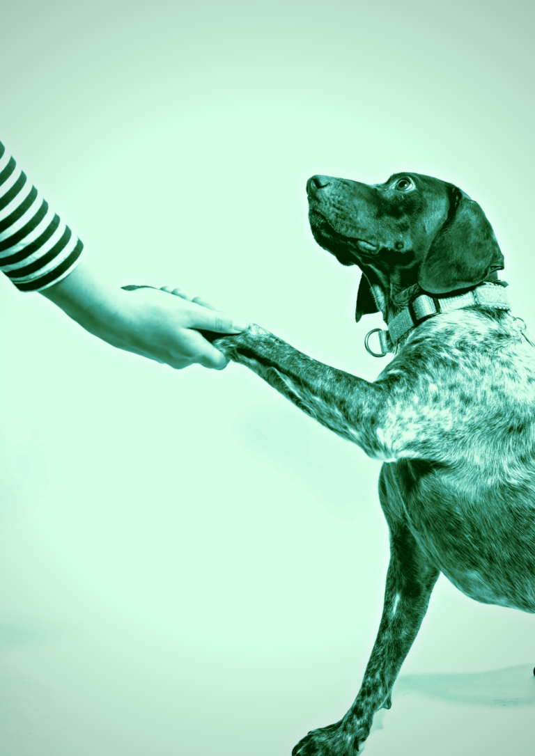 Why Trust Is the Key to Customer Loyalty - InsideOut Group